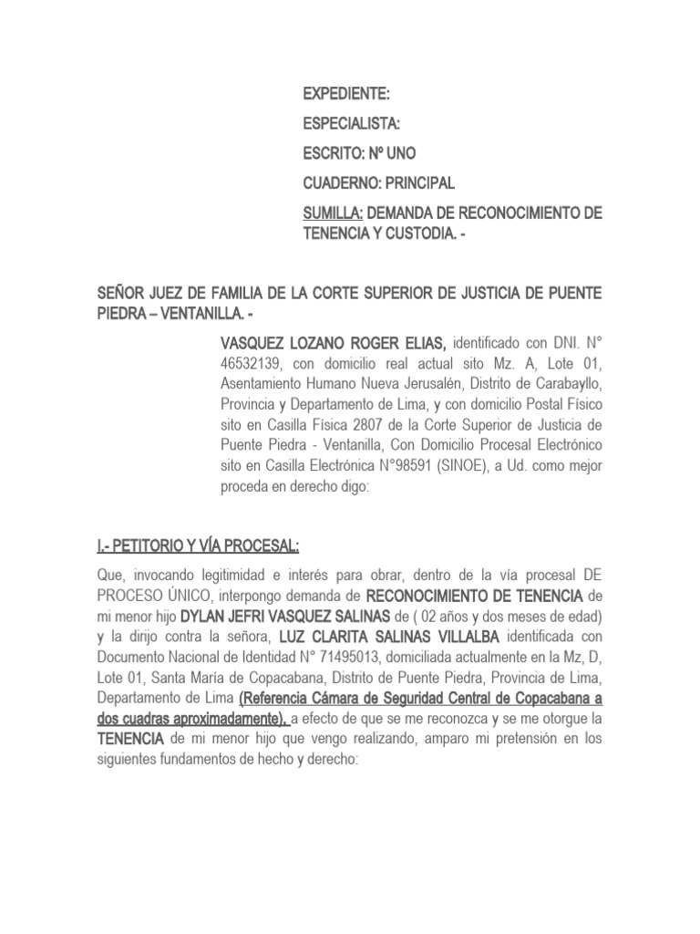 Demanda de Tenencia - Roger Vasquez Lozano | PDF | Documento de ...