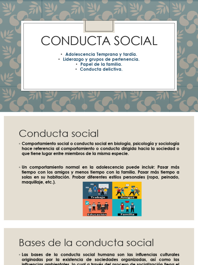 Conducta Social | PDF | Adolescencia | Comportamiento