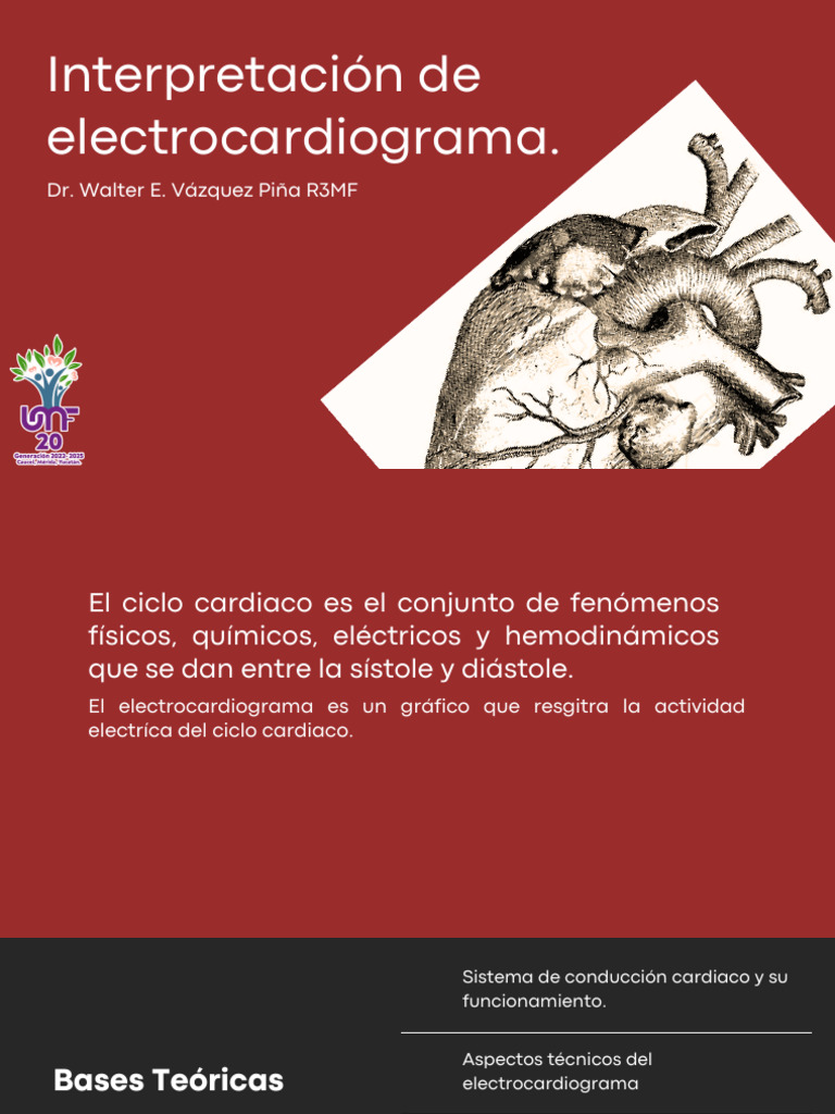 Interpretación de Electrocardiograma | PDF | Electrocardiografia | Sistema circulatorio