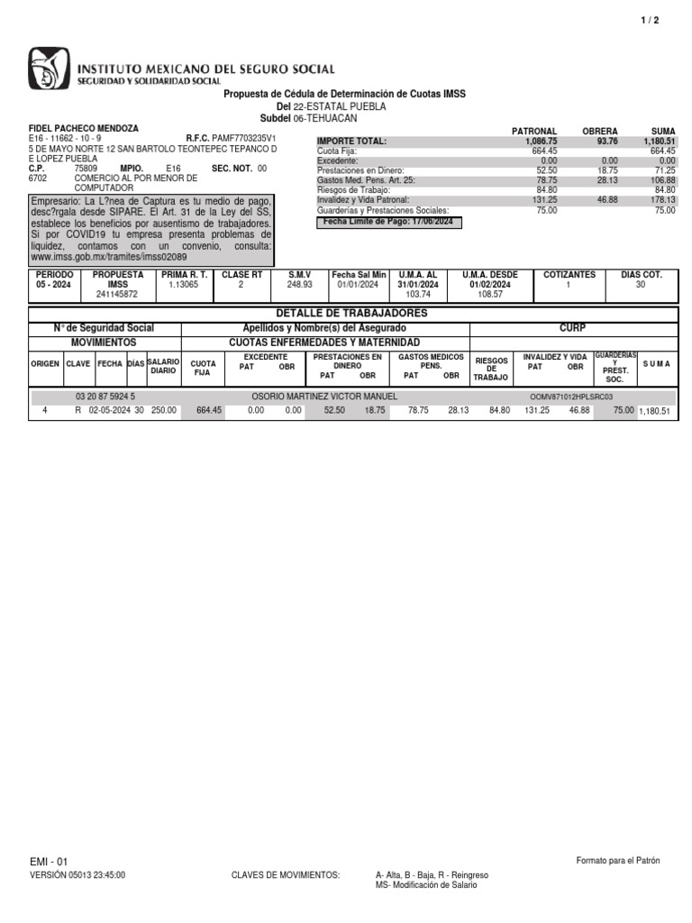 Pe161166210 Ema | PDF