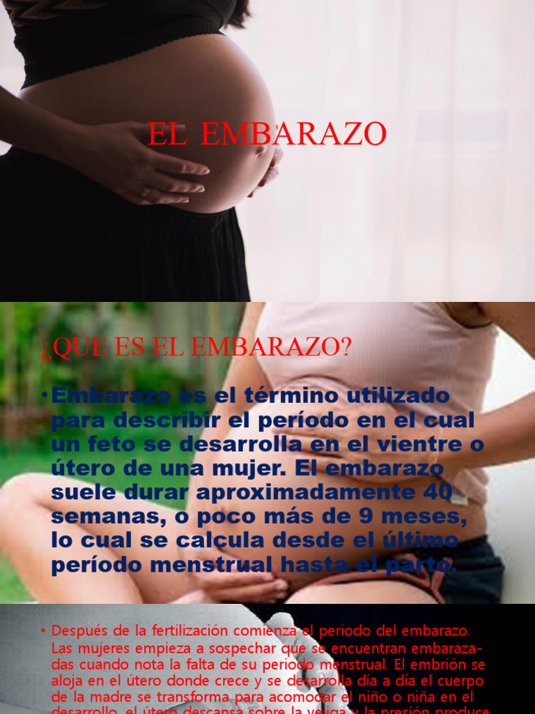 Guía Completa sobre el Embarazo | PDF | Control de la natalidad | El ...