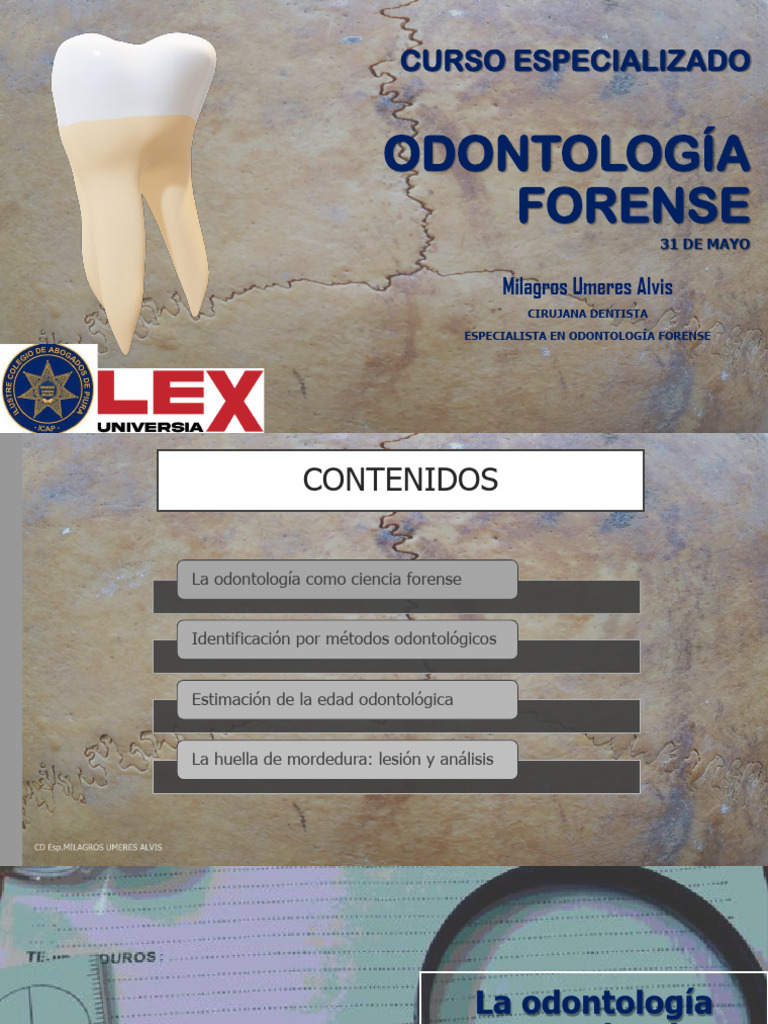 Participantes Curso Esp Odont For 310524 Primera Part | PDF | Diente | Boca