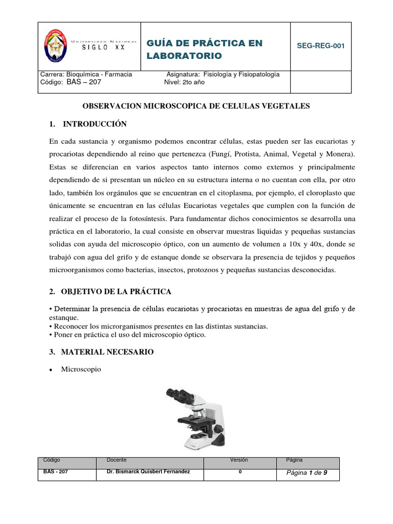 OBSERVACION MICROSCOPICA DE CELULAS Protistas Practica Fisio | PDF | Biología Celular) | Plantas