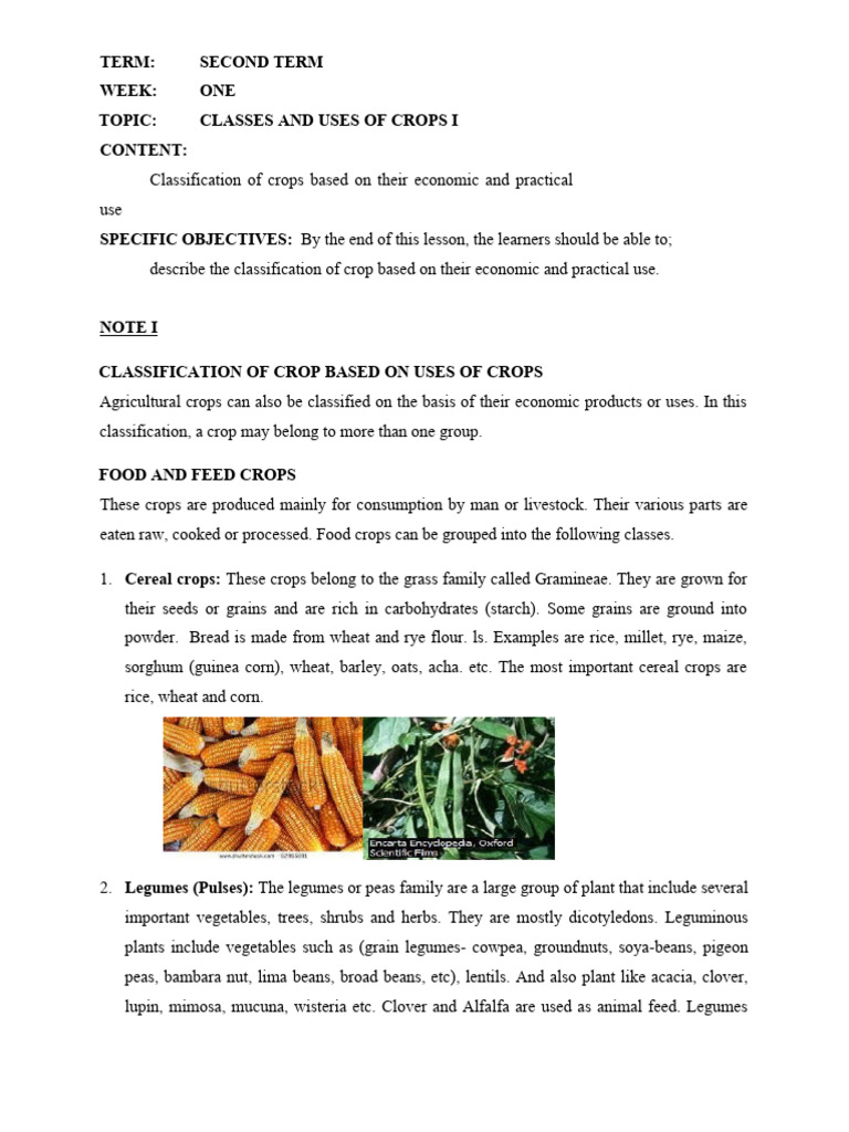 Agric. Science Yr7 Tm2 Note1 | PDF | Legume | Cereals