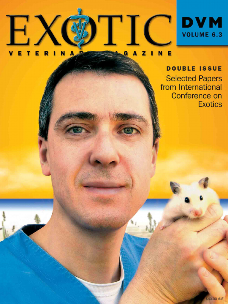 Surgical Treatment of Otitis Externa and Media in Pet Rabbits | PDF ...