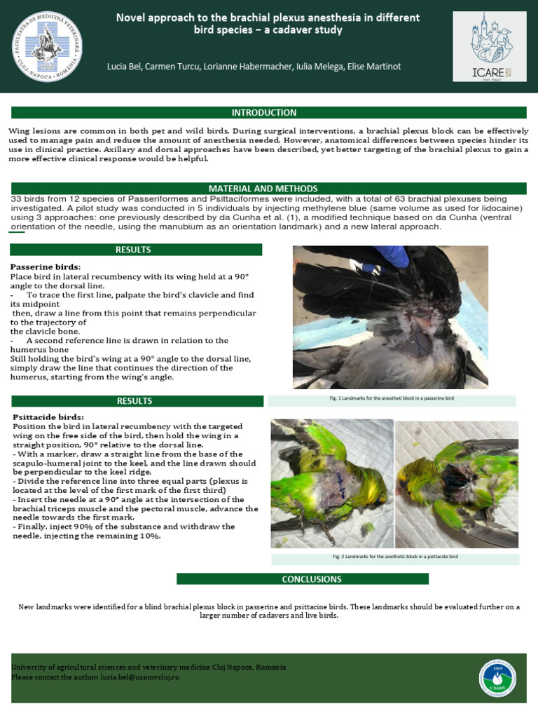 P10 Novel Approach To The Brachial Plexus Anesthesia in Different Bird ...