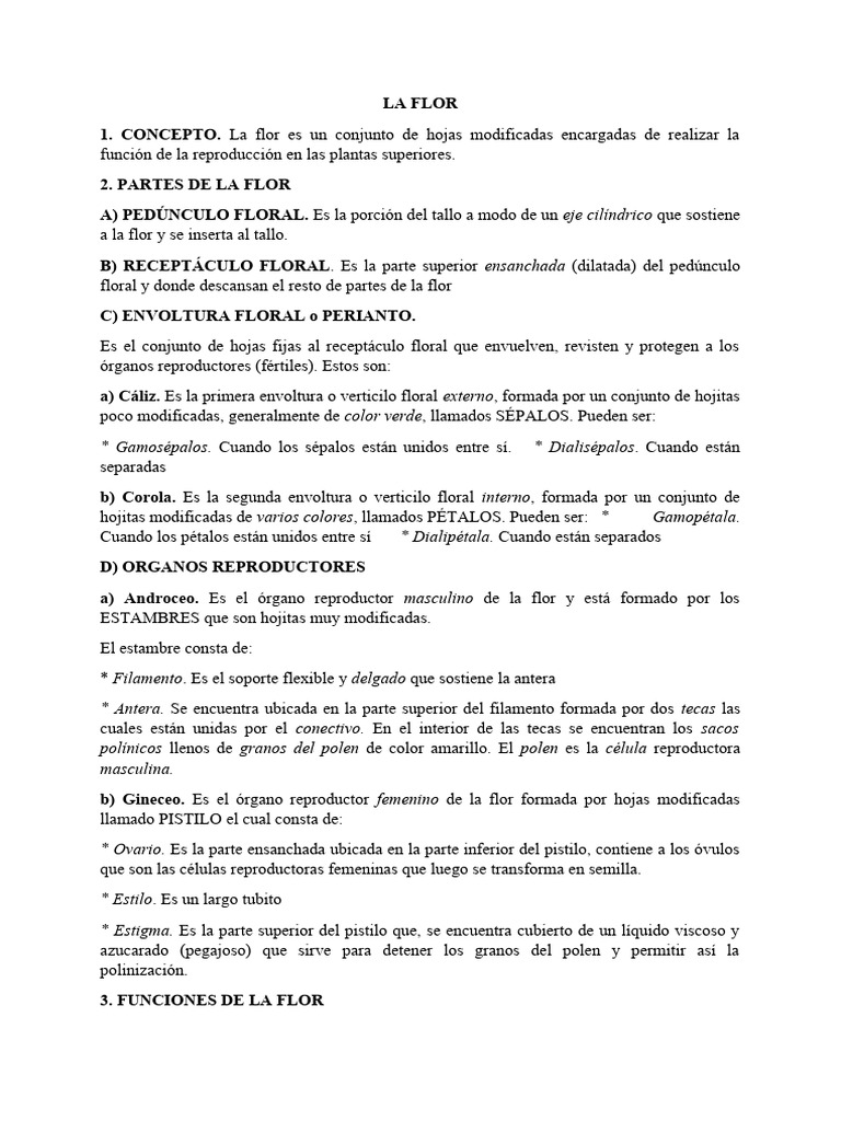 LA FLOR | PDF | Flores | Semilla