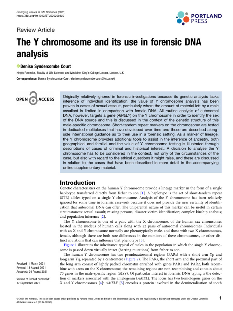 The Y Chromosome and Its Use in Forensic DNA Analy | PDF | Haplotype | Microsatellite