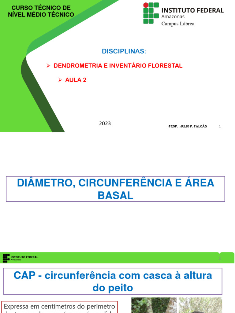 AULA 02 - DENDROMETRIA | PDF | Árvores | Medição