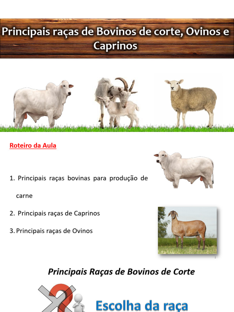 Aula 9. Raças Bovinos de corte, Caprinos e Ovinos (1) | PDF | Gado ...