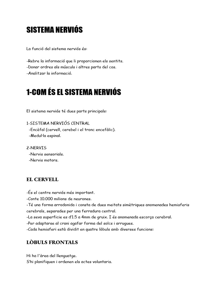 Sistema Nerviós | PDF