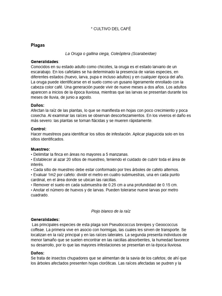 Plagas y Enfermedades del Café | PDF | café | Control biológico de plagas