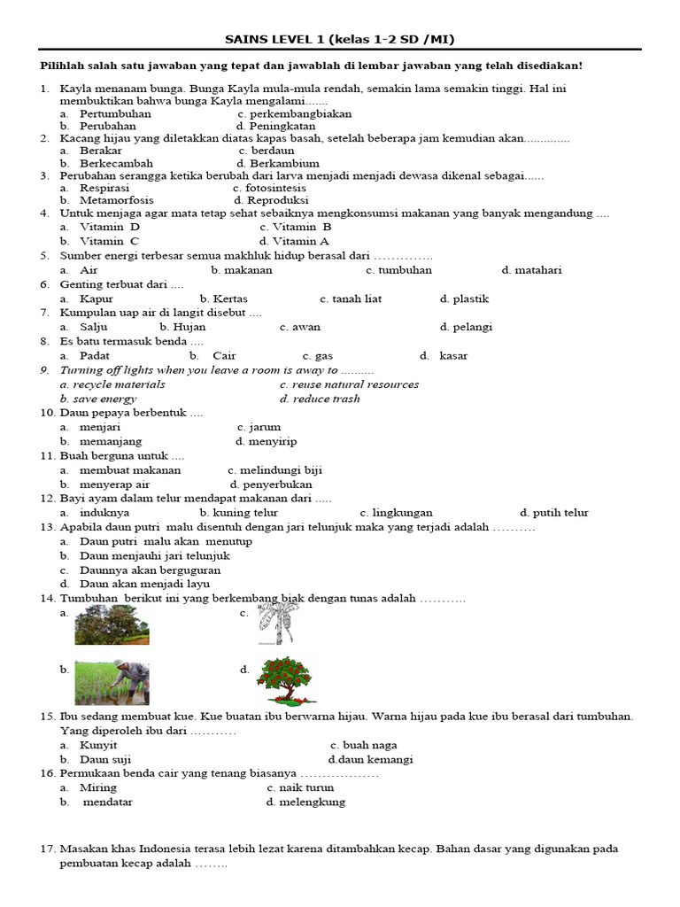 Emerald Sains Level 1 - 4 20230808 (Soal) | PDF