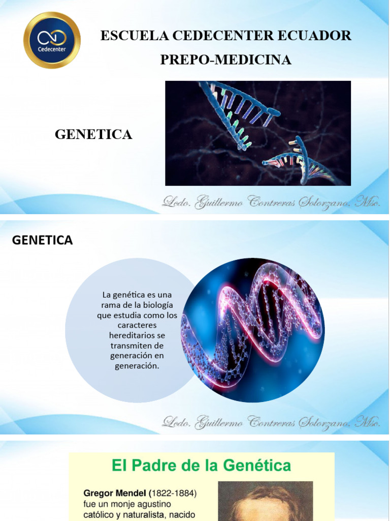 Copia de S4-T3 GENETICA Y LOS CROMOSOMAS | PDF | Cromosoma | Gene