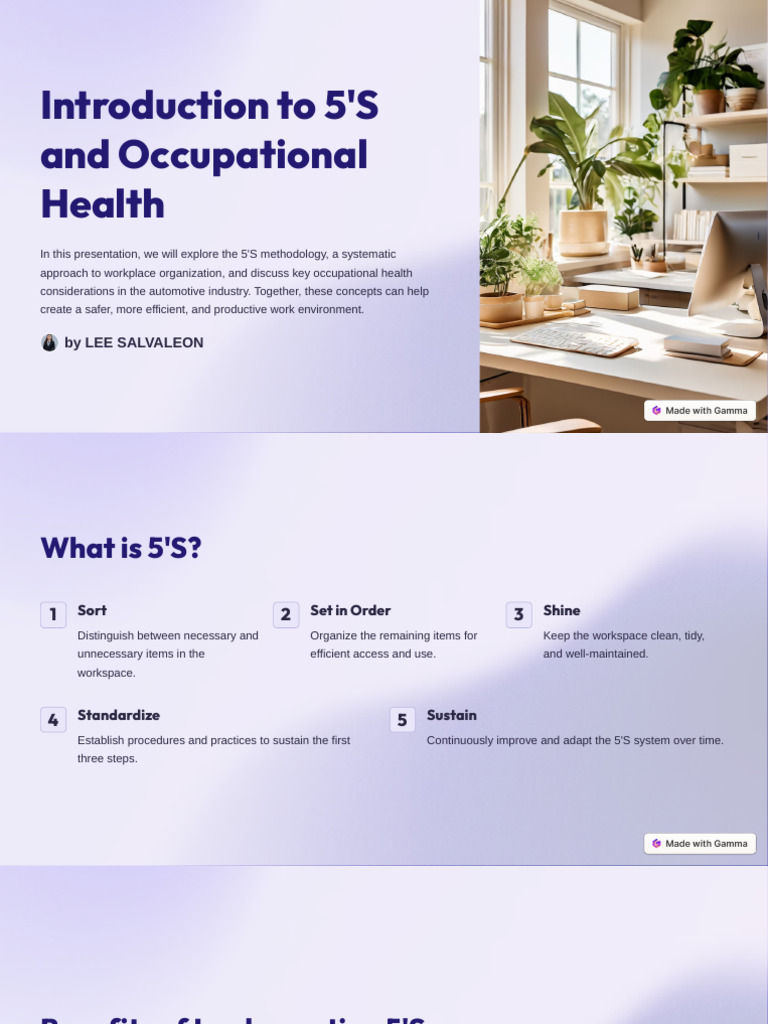 Introduction To 5S and Occupational Health | PDF | Occupational Safety ...