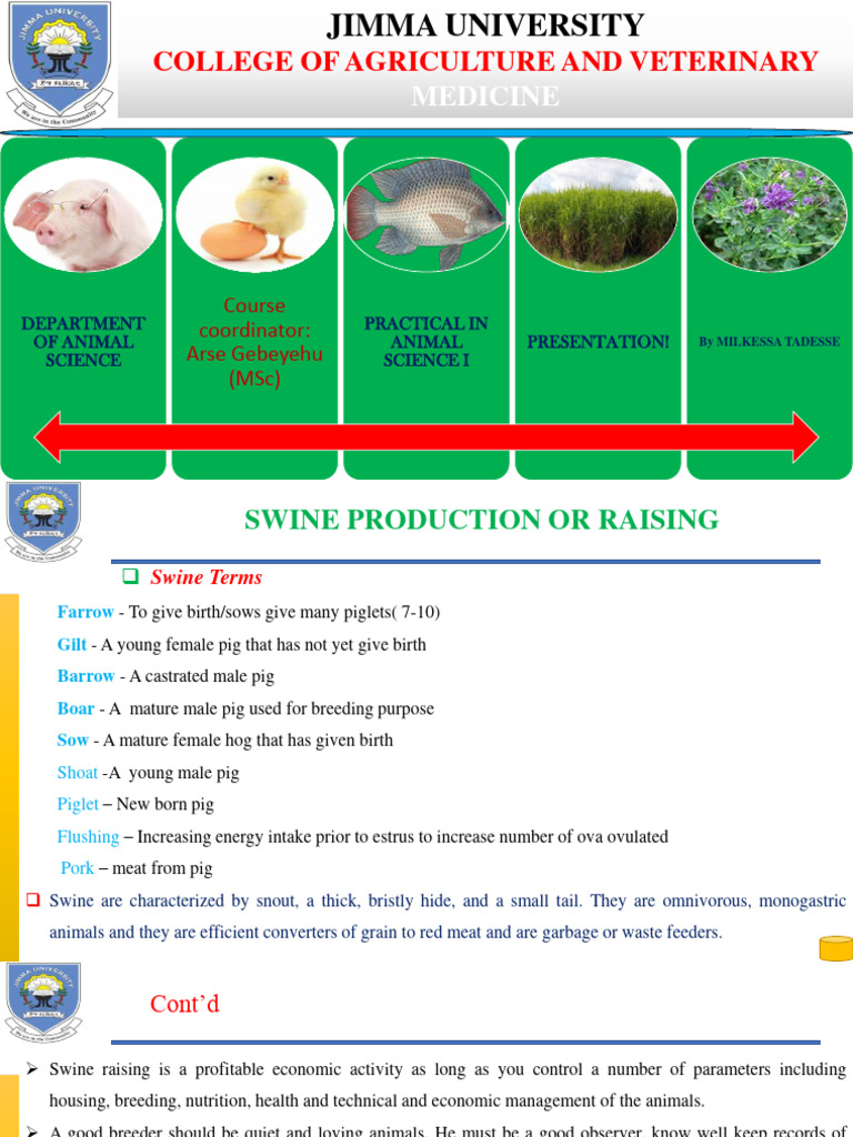 Practical in Animal Science | PDF | Alfalfa | Pig