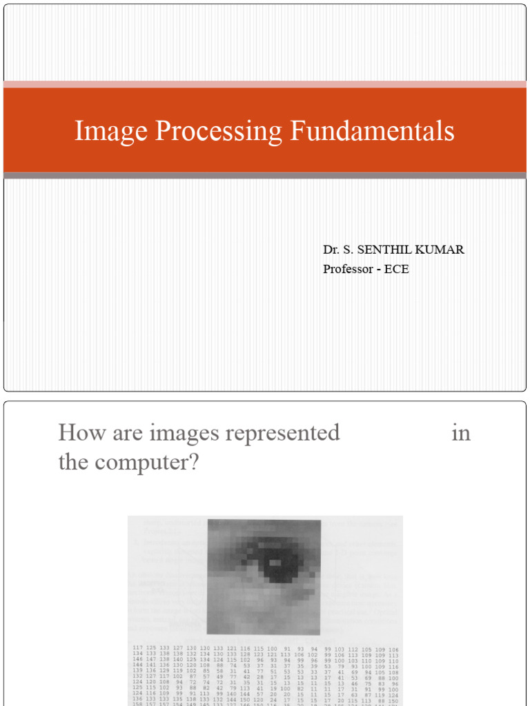 Fundamentals of DIP | PDF | Computer Data Storage | File Format