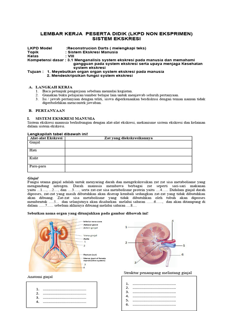 LKPD Ginjal | PDF | Sains & Matematika