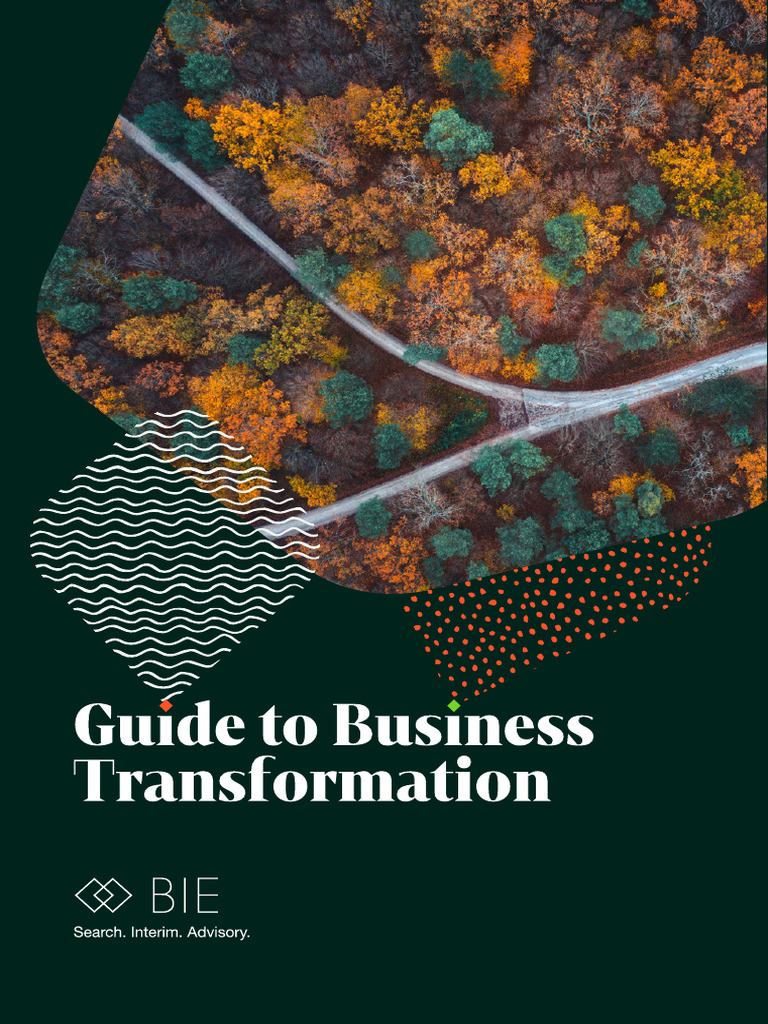 Guide To Business Transformation | PDF | Business | Strategic Management