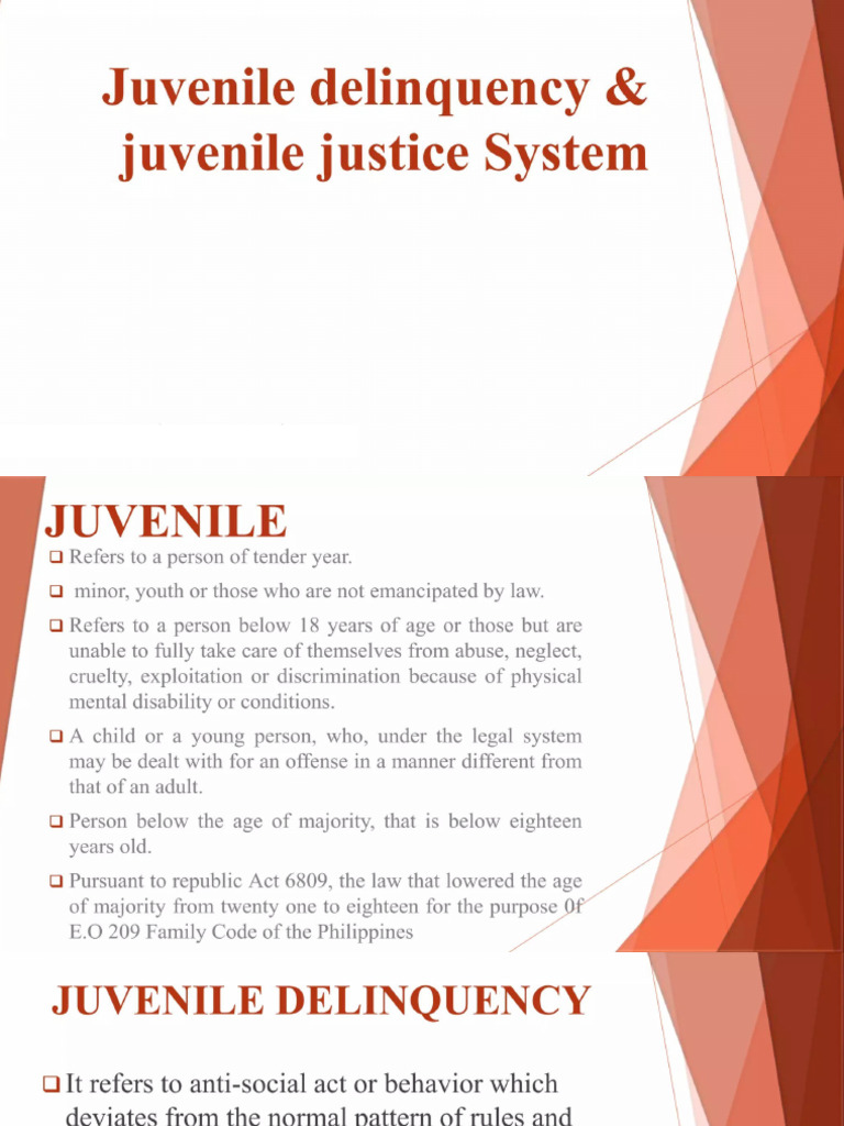 Juvenile Delinquency and Juvenile Justice System PPT 080541 | PDF