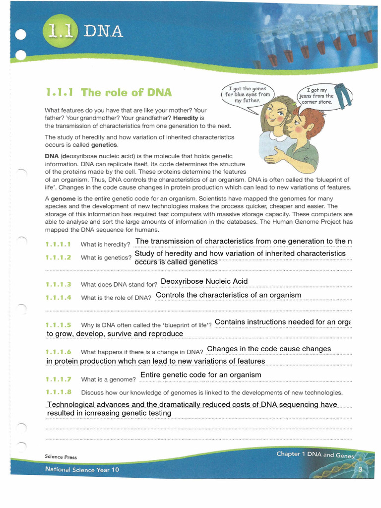 1.1.1 The Role of DNA Form | PDF | Self-Improvement