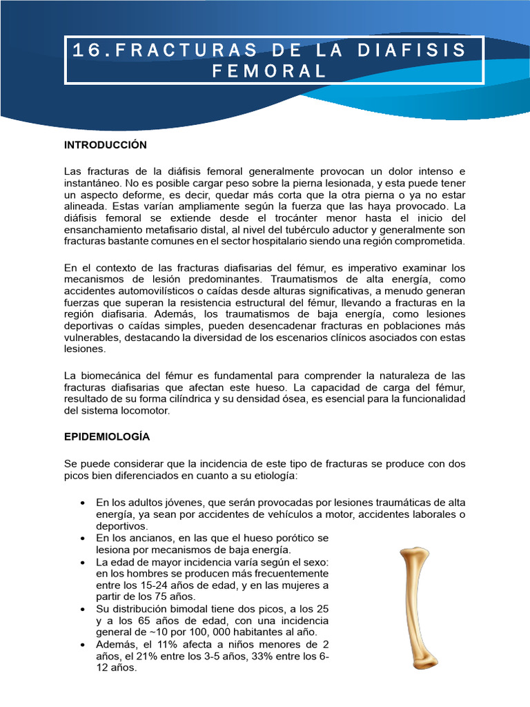 Fracturas de La Diafisis Femoral Final | PDF | Rodilla | Anatomía del ...