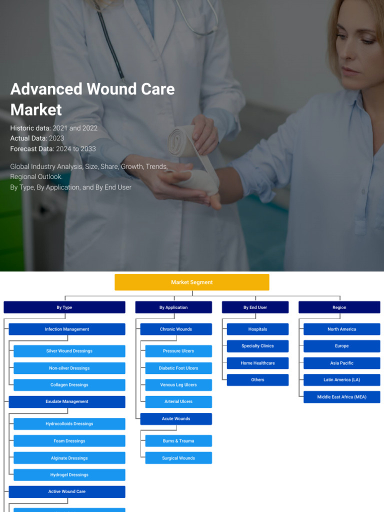 Sample Global Advanced Wound Care Market 2024 2033 Pdf Wound