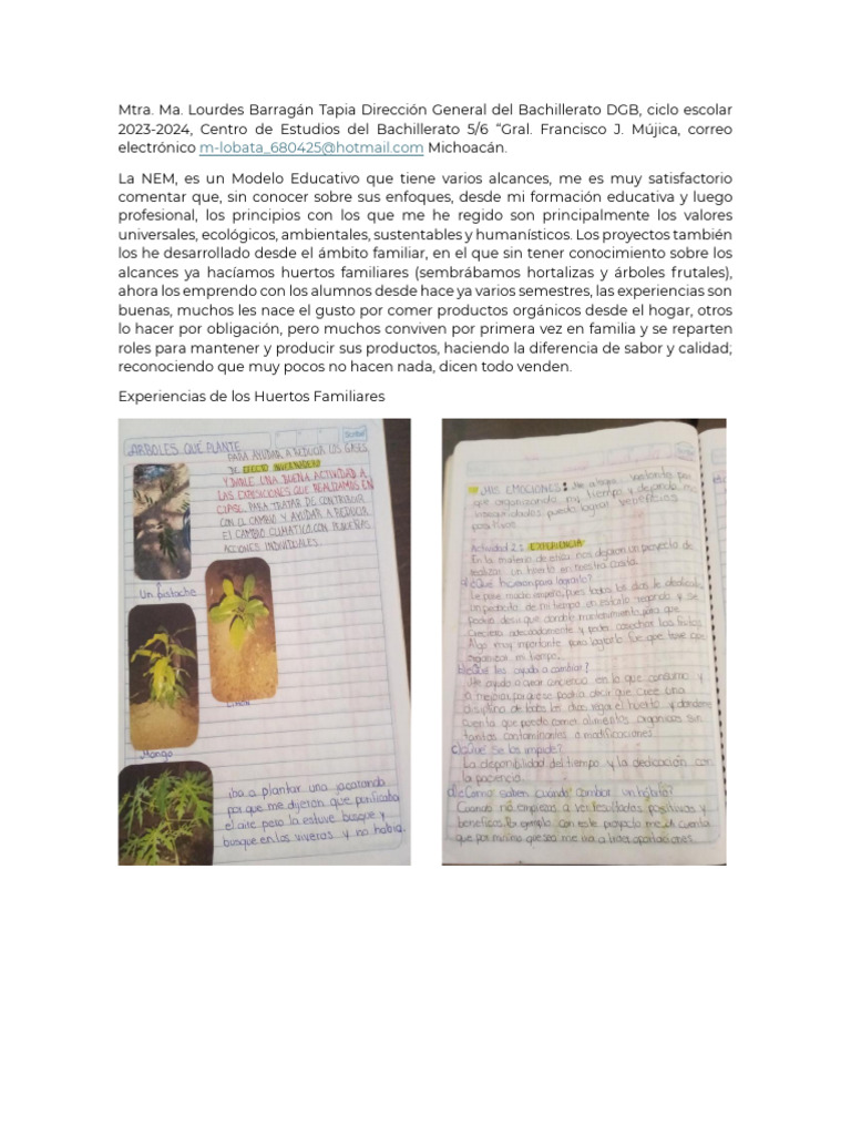 Experiencias Mccems | PDF