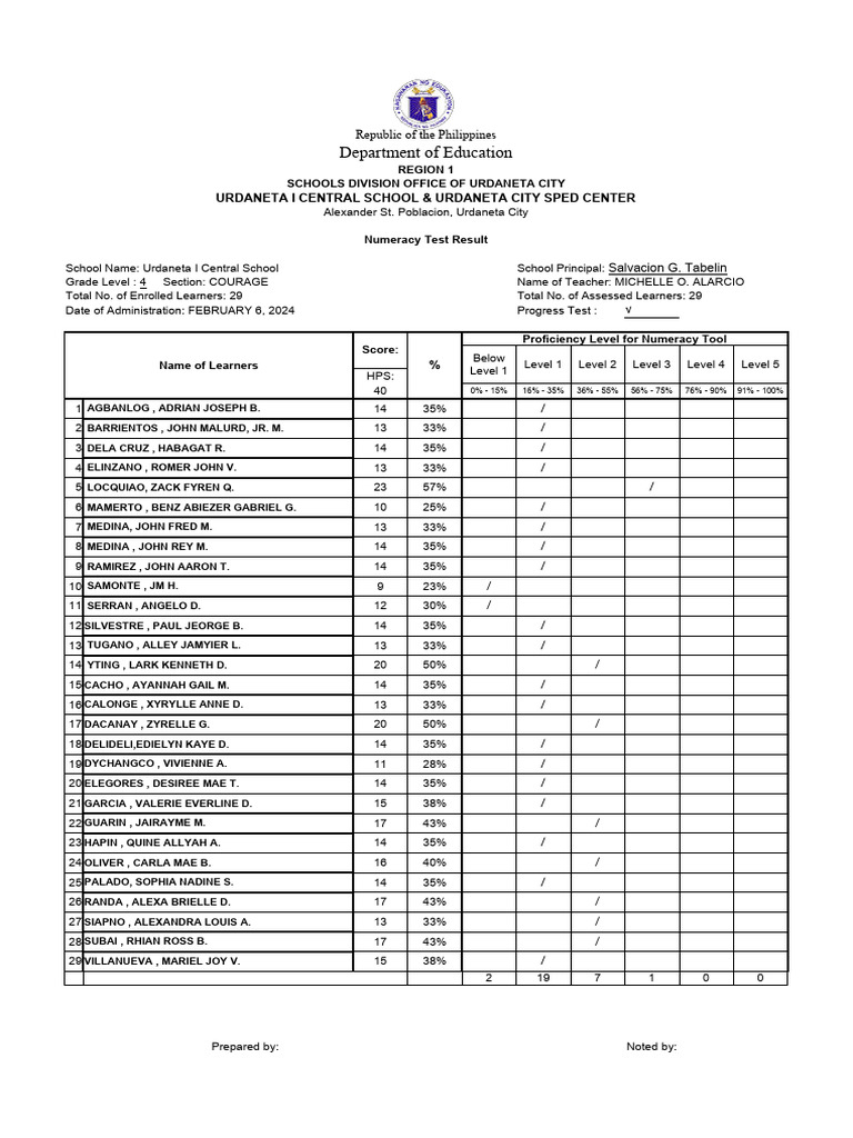 Numeracy Progress Test Results Grade 4 Courage | PDF