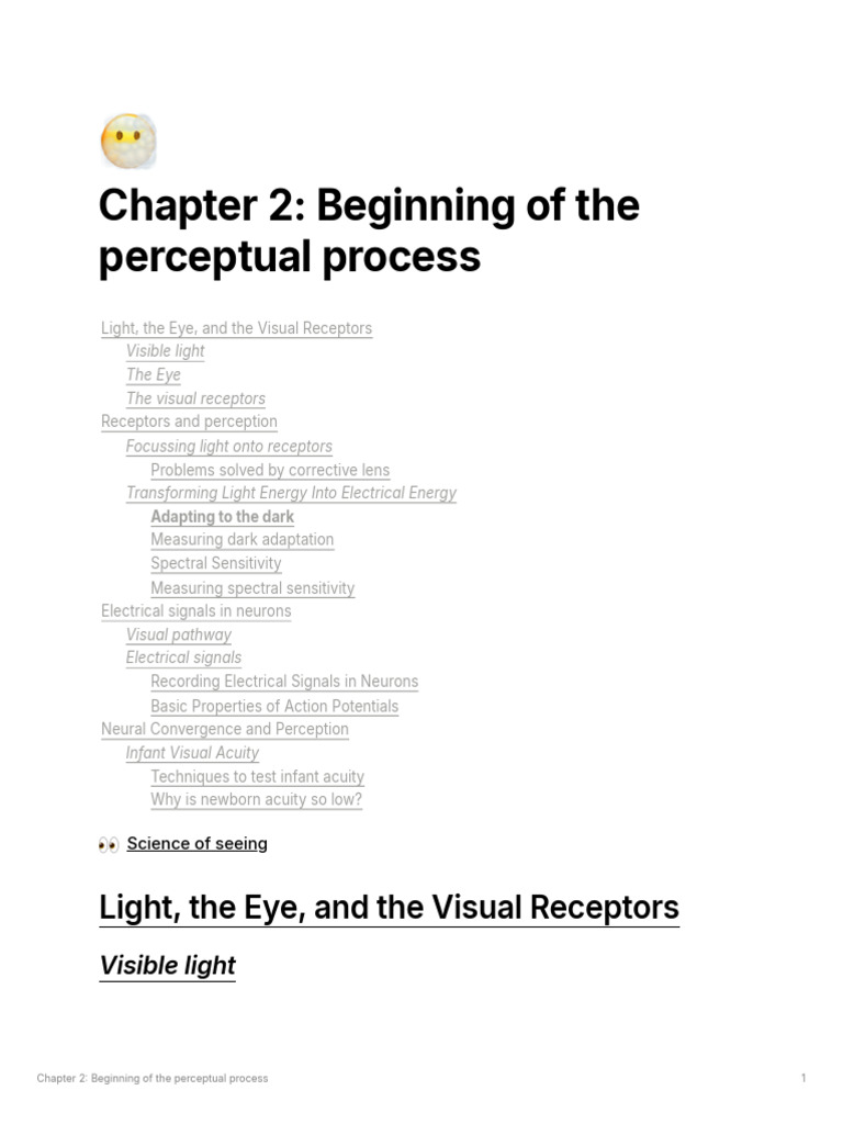Perceptual Process: Light and Vision | PDF | Visual Acuity | Visual Perception