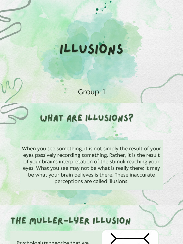 Understanding Visual Illusions Explained | PDF