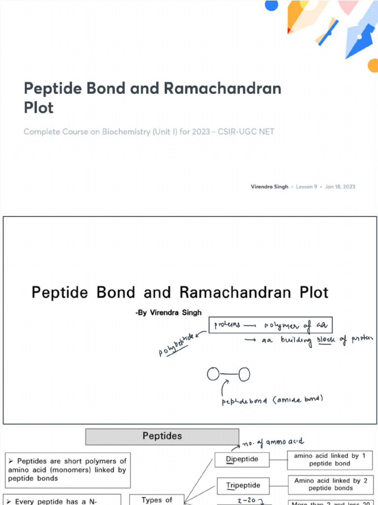 9 Peptide - Bond - and - Ramachandran - Plot - With - Anno | PDF