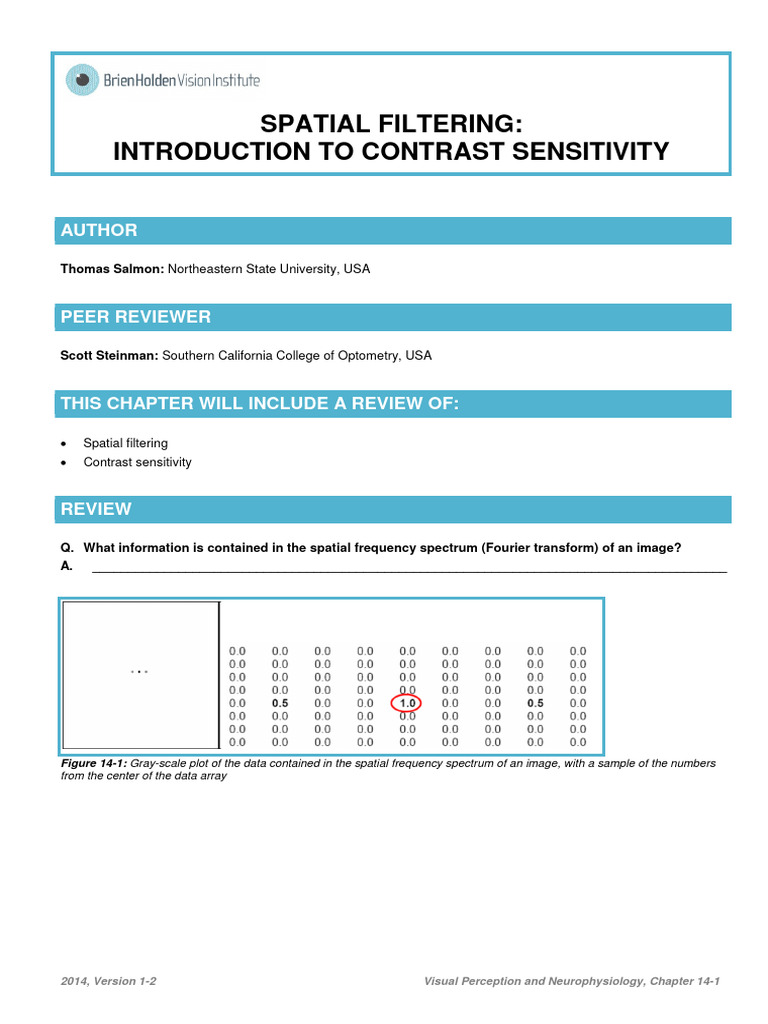 14 Spatial Filtering Contrast Sensitivity | PDF | Contrast (Vision ...