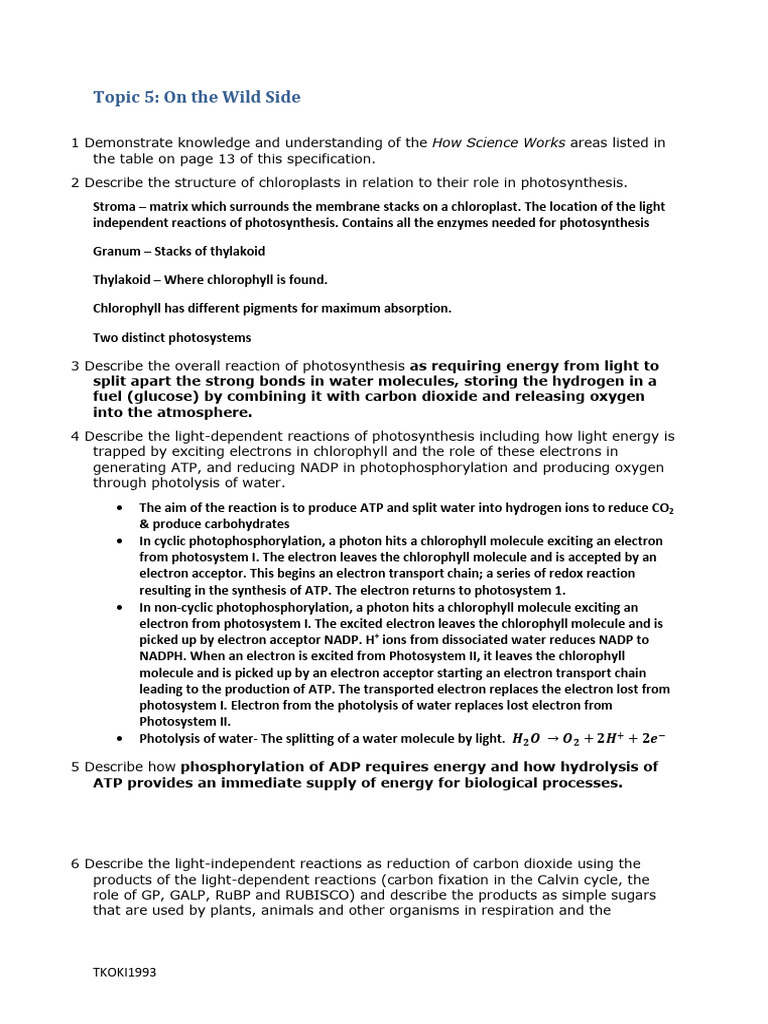 Toaz - Info Unit 4 Notes Edexcel Biology PR | PDF | Photosynthesis ...