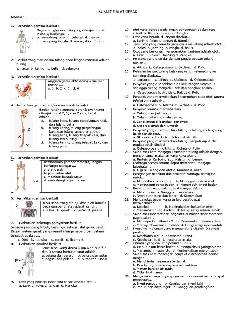 Sumatif Alat Gerak 2 | PDF