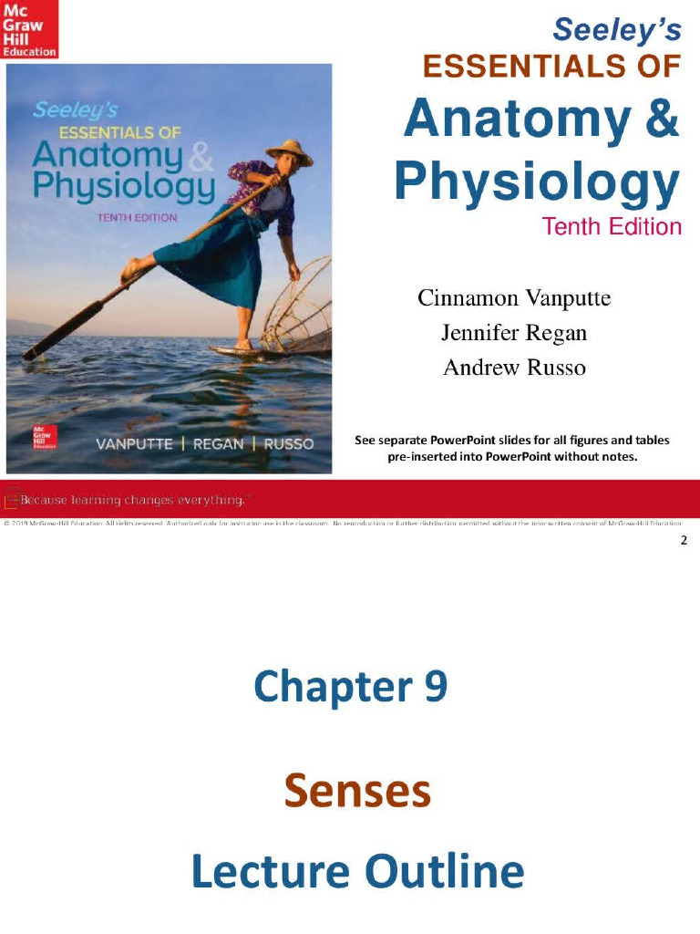 CHAPTER 9 SENSES | PDF