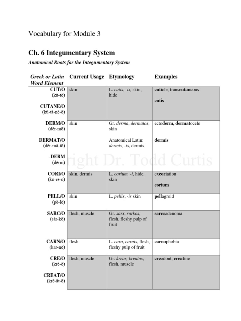 Integumentary System Vocabulary | PDF | Anatomical Terms Of Motion | Skull