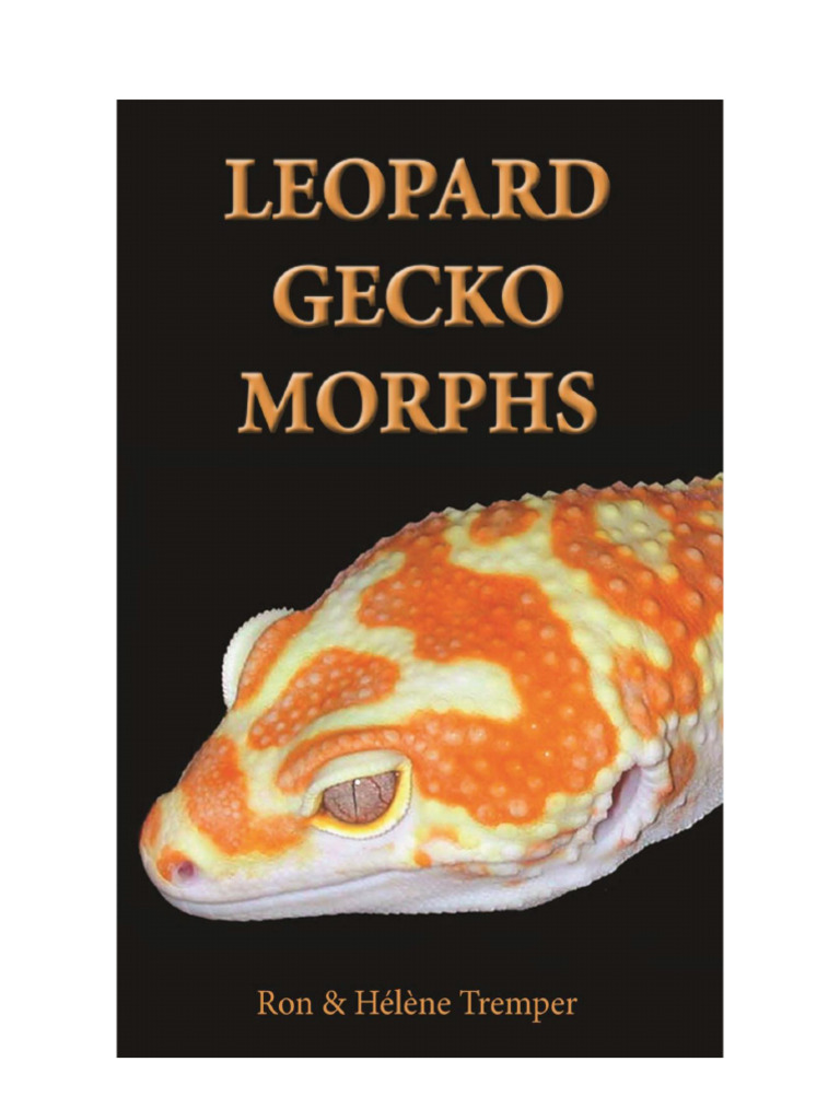 Leopard Gecko Morphs | PDF | Polimorfismo (biología) | Color