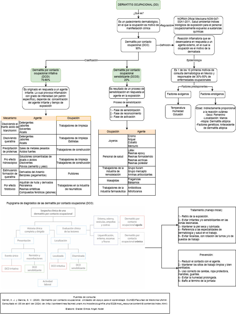 Dermatitis Ocupacional: Causas y Prevención | PDF