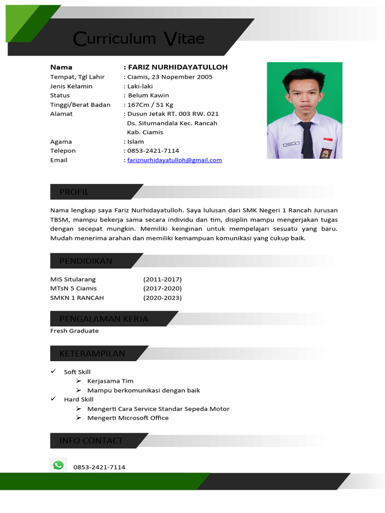 CV Fariz | PDF | Karier & Perkembangan