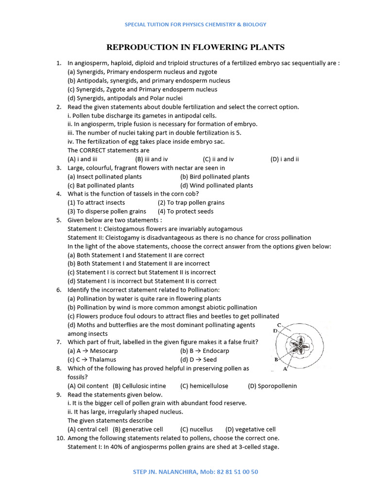 Plus 2 Bio - Reproduction in Flowering Plants | PDF | Flowers ...