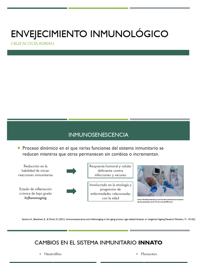 Inmunosenescencia y Envejecimiento | PDF | Sistema inmune | Citocina