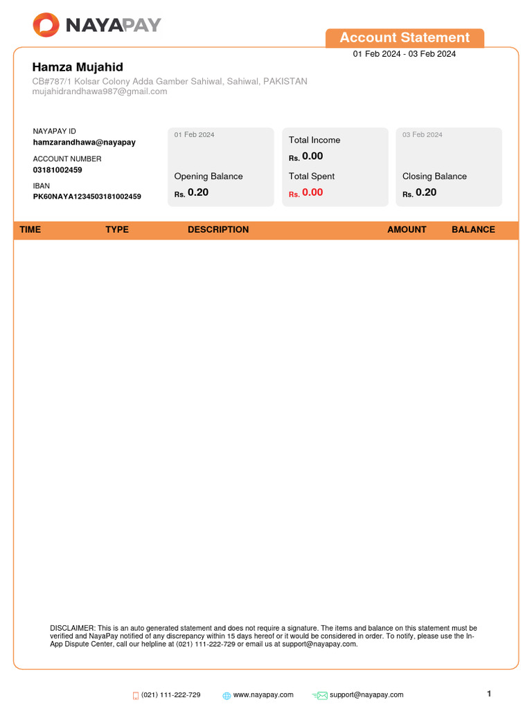 Hamza Mujahid: Account Statement | PDF