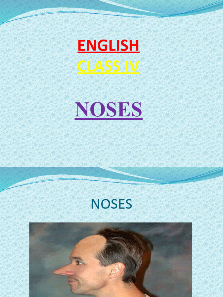 Presentation 3 Noses | PDF