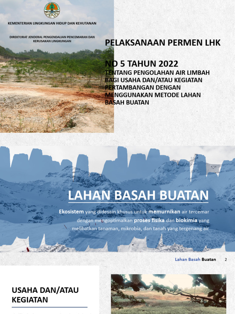 Lahan Basah Buatan - 14 Juni 2022 | PDF