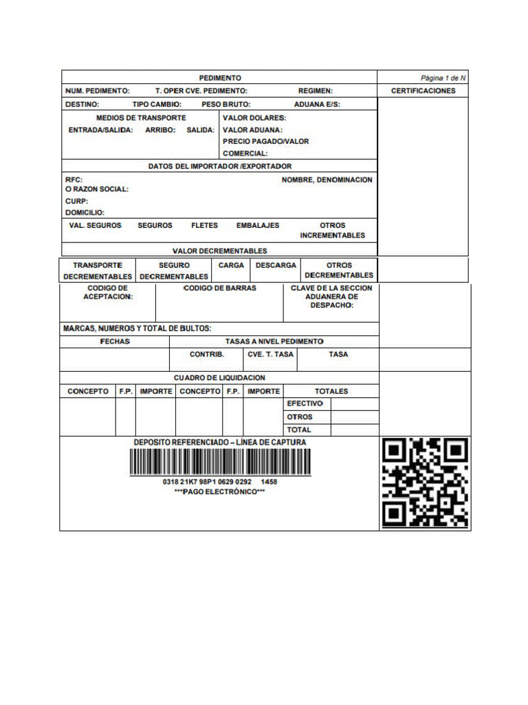 PEDIMENTO | PDF