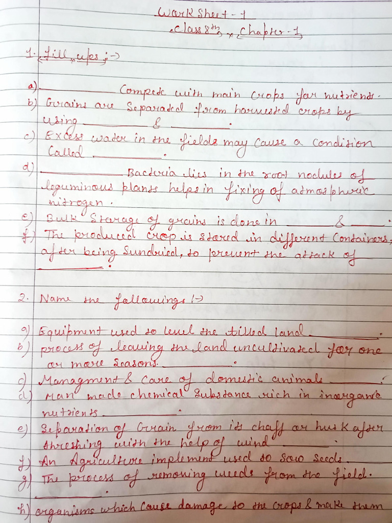 Class 8th Science Worksheet | PDF