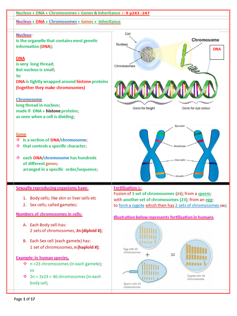 Genes and Inheritance -1 | PDF | Natural Selection | Reproduction