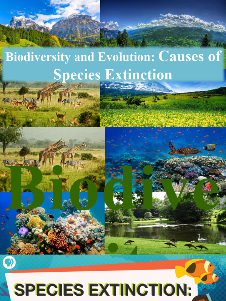 Causes of Extinction Demo | PDF | Home & Garden | Science & Mathematics
