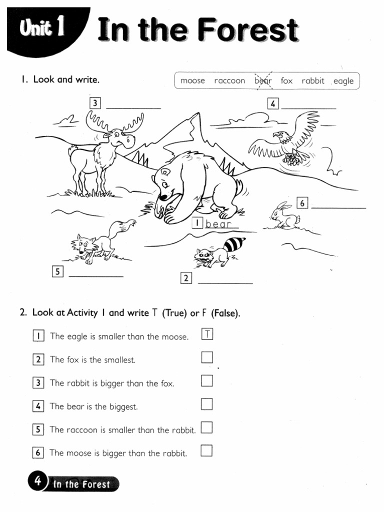 SeeSaw 4 Work Book Unit 1,2 | PDF